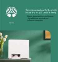 China 800ml Portable Room Ozone Air Cleaners Generator For Odor Elimination for sale
