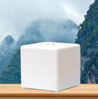China Commercial Home Ozone Generator 60g/H 99CFM 800ml for sale