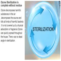 China 38W Ozone Generator Air Purifier Machine For Mold Removal for sale