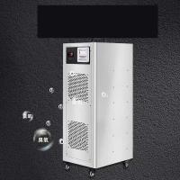 China Oxygen Source Airthereal Industrial Ozone Generator For Air Purification for sale