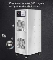 China 220W-1200W Commercial Ozone Air Purifier O2 Generator Machine for sale
