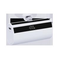 China 5000mAh Mini Power Bank Fast Charging for Outdoor Environments for sale