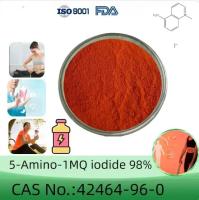 China High Purity 5-Amino-1-Mq Iodide NNMTi supplement CAS 42464-96-0  5 amino mq Powder for sale