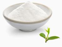 China Food Additives Green Tea Leaf Extract 99% L-Theanine Powder for sale