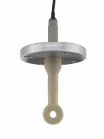 China PEEK PFA Digital conductivity sensor Endress Hauser  Indumax CLS50D-AA3B21 for sale