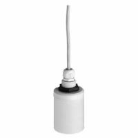 China 10m 32ft Cable Endress Hauser Instruments Ultrasonic Measurement FDU91-RG2AA for sale