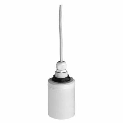 China 10m 32ft Cable Endress Hauser Instruments Ultrasonic Measurement FDU91-RG2AA for sale
