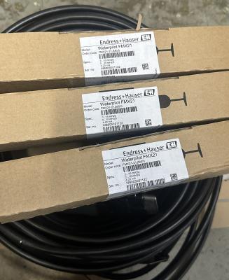 China Endress+Hauser Waterpilot FMX21 Hydrostatic Level Transmitter with IP68-Rated Electronics 200m Measurement Depth and ±0.2% Accuracy for sale