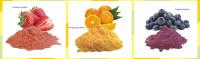 China Chemical Yeast Powder Spray Drying Machine AC380V AC220V High Efficient for sale