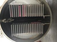 China Commercial Freeze Drying Machine , Vacuum Freeze Dryer Equipment For Fruits Vegetables for sale