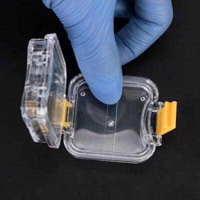 China Plastic Dental Lab Membrane Tooth Retainer Case Denture Storage Box 10 Slots for sale