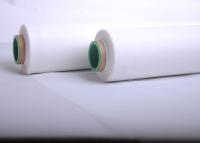 China PA6 Monofilament Plain Weave Nylon Bolting Cloth For Flour Mill Sieve for sale