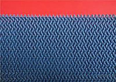 China Heat Resistance Large Loop Polyester Mesh Belt For Food Industry for sale