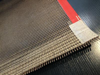 China High Temperature Resistant 4*4mm Ptfe Conveyor Belt for sale