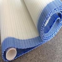 China Acid And Alkali Resistance Polyester Mesh Belt 16903 22903 For Industry Clean Washing for sale