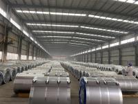 China 0.6m Width DX51 SPCC Grade Galvanized Steel Coils Hot Dipped GI coils for sale
