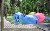 China Outdoor Water Sports Games 2m Diamete Inflatable Crazy Water Balls , CE for sale