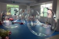 China Summer Swimming Pool Inflatable Human Sized Hamster Ball For Water Party for sale
