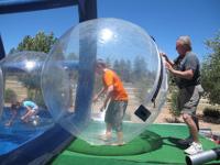 China Interesting Inflatable Water Walking Ball For Kids , Water Hamster Ball for sale