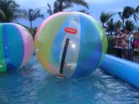 China Big Pink Water Pool Inflatable Water Walking Ball For Adults / Water Rolling Ball for sale