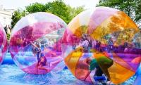 China Big Pink Water Pool Inflatable Water Walking Ball For Adults / Water Rolling Ball for sale