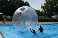 China Nontoxic Adults Crazy Inflatable Zorb Hamster Ball With Silk Printing for sale