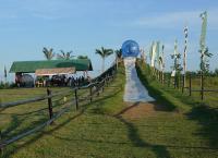China Eco - Friendly Children Inflatable Zorb Ball / Water Running Ball Serurity - Guarantee for sale