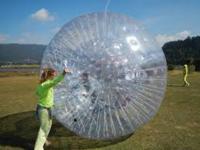 China Commercial Grade Outside Humans Sized Zorb Inflatable Ball For Team Games for sale