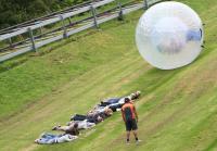 China Transparent Inflatable Zorb Ball For Snow / Giant Inflatable Zorbing Water Ball for sale