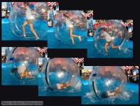 China Mixed Color Aqua Inflatable Water Walking Ball Diameter 2 M 1.00mm TPU Material for sale
