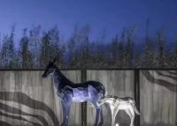 China Public Garden Animal Sculptures Decorative Stainless Steel Horse Sculpture for sale