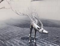 China Life Size Metal Deer Garden Statues Abstract Stainless Steel Polished for sale