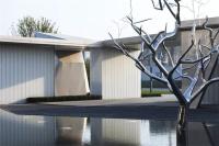 China Modern Polished Art Metal Tree Sculpture Outdoor Stainless Steel For Garden for sale