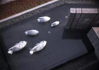 China Stainless Steel 60cm Home Decor Sculptures Metal Fish Sculpture Garden for sale