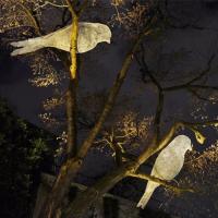 China Park Outdoor Metal Bird Sculpture Fiberglass Luminous Steel Decorative For Trees for sale