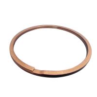 China FK3 IS Series FEY Single Turn Laminar Sealing Rings For Roller / Plain Bearings for sale