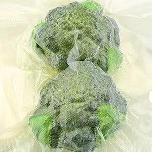 China 9 Layer Transparent Food vacuum seal freezer bags High Barrier For Freezer Seal A Meal Quart for sale
