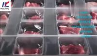 China High Temperature Thermoforming Film Iso 9001 Certified Fabricator for sale