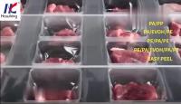 China Flexible Barrier Custom Thermoforming Packaging Films Fast Shipping for sale
