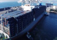 China Door To Door LCL International Ocean Freight Forwarder Ddp Sea Shipping for sale