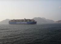 China DDU LCL FCL Door To Door Overseas Shipping International Ocean Logistics for sale