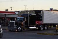 China Guangzhou To Poland Fast Freight Trucking DDU Cargo International Logistics for sale