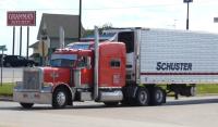 China Responsible International Trucking Services Cargo Road Shipping Guangzhou To Denmark for sale