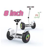 China FERRARJ.COM Two-Wheel Self-Balancing Electric Scooter with 6.5