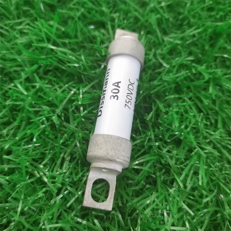 Dissmann fuse BS88 British Standard Fuse Automotive fuse
