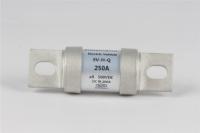 China Automotive EV Battery Ceramic Fuse 250VDC 300A DC20kA Bolted Type for sale