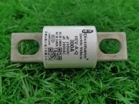 China EV HEV 250V DC Electric Vehicle Fuse 300A Bolt Type for Charging Station Battery Protection for sale