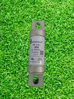 China 250V 300Amp Bolt On Fuse 250VDC Automotive Fuse for EV Charger Battery Protection for sale
