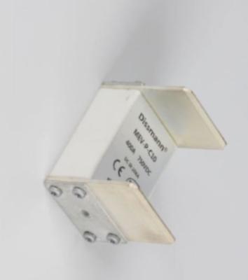 China 750V DC 300A Energy Storage System Fuse EV Battery High Breaking Capacity aR for sale