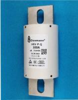 China EV Charger Protection High Breaking Capacity Fuse 300A DC1000V for Hybrid Vehicle for sale